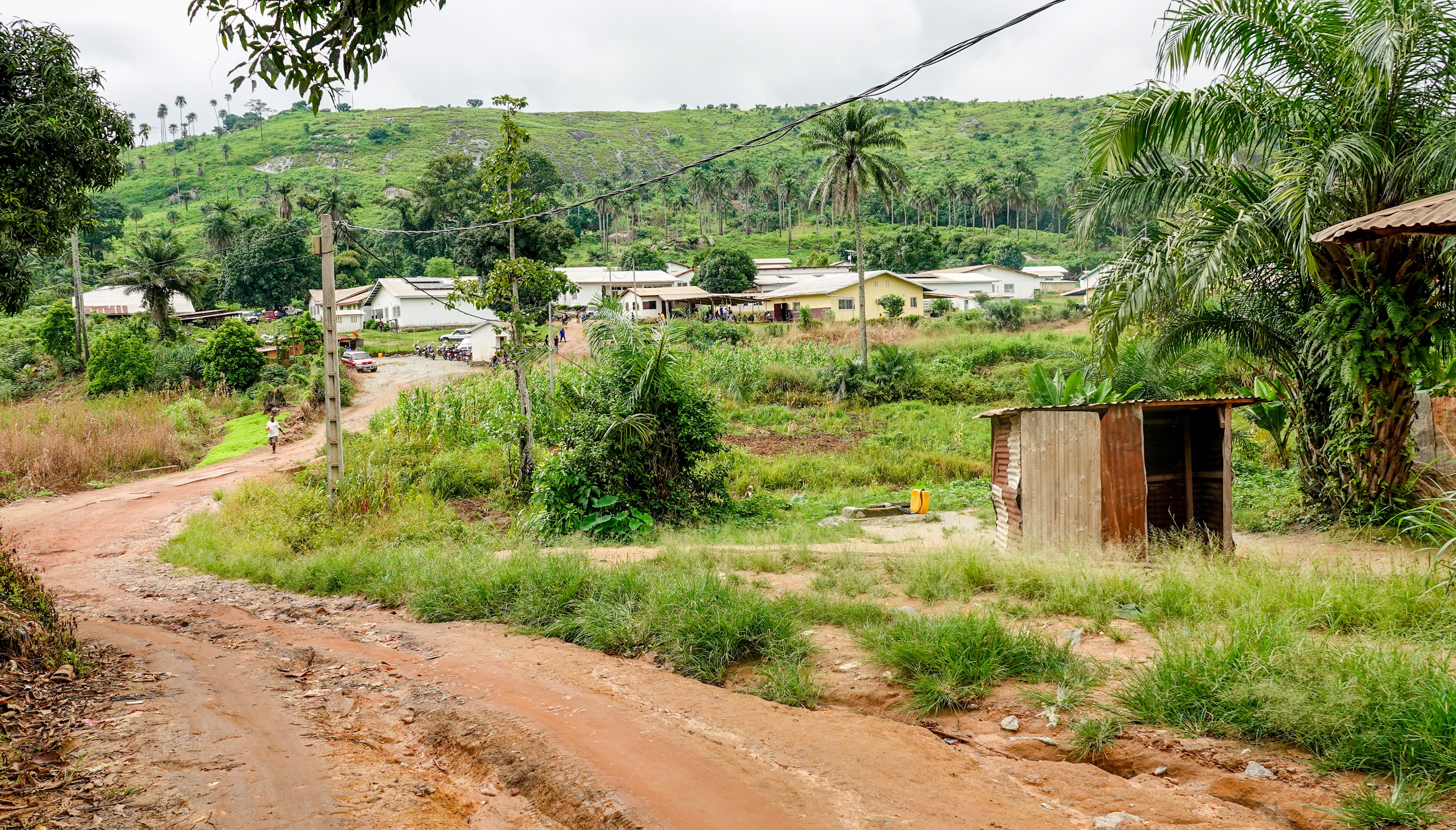 MAF flights avoid ‘very painful’ road trips in Guinea | Guinea